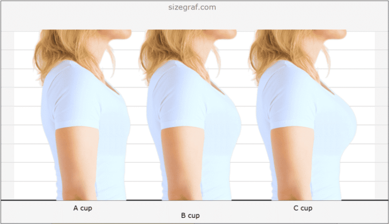 Breast Cup Size Comparison Tool Size Graf Breast Cup Size Comparison Tool Size Graf